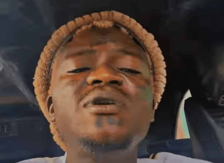 Geh Geh, Portable, Lizzy Anjorin, VDM, other Nigerian celebrity ...